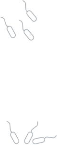 KiteLock 4% | SterileCare